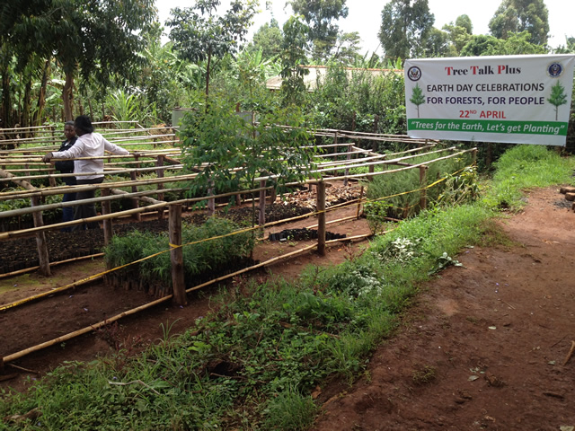 Earth day Celebrations For Forests,For People | Tree Talk Plus